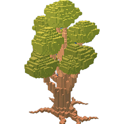 Superforest — Tree Encyclopedia